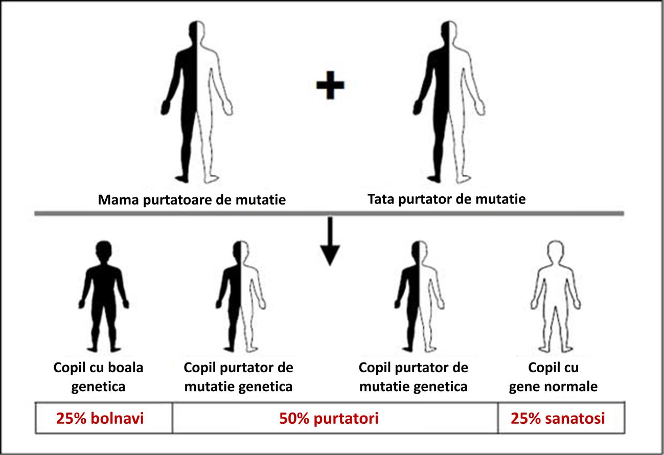 Transmitere genetică - Cardiomiogen.ro